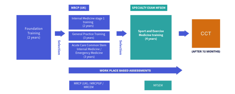 FSEM - Training pathways graphic - FSEMFSEM